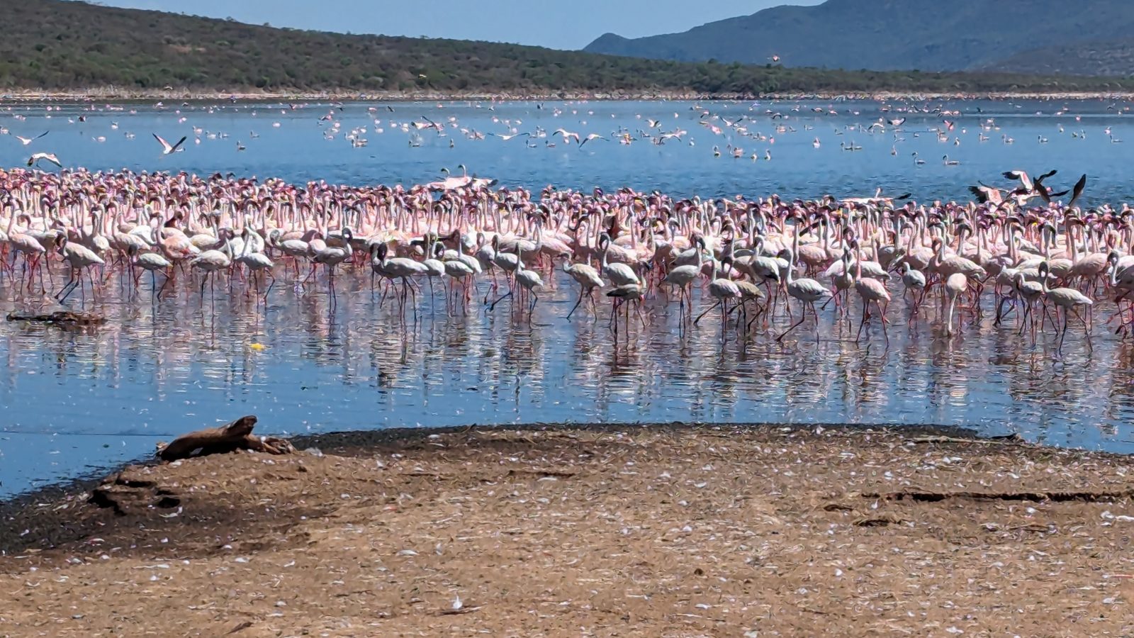 The Lake Observations by Citizen Scientists & Satellites project seeks ...