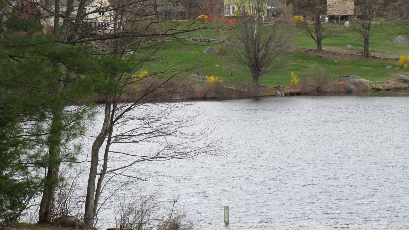 New Hampshire - LOCSS