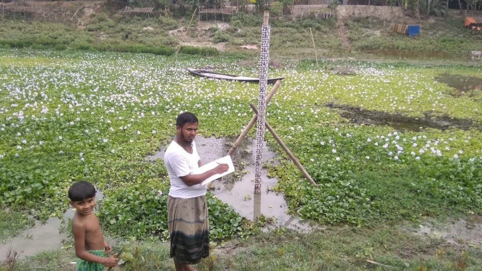 Bay Tree Lake: How Does Its Water Level Change? - LOCSS