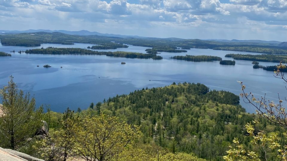 Bay Tree Lake: How Does Its Water Level Change? - LOCSS